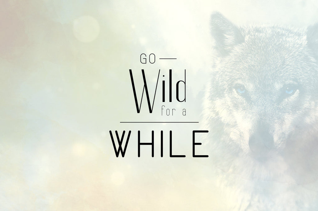 Fancy Font Family - 12 Fonts | So Fontsy