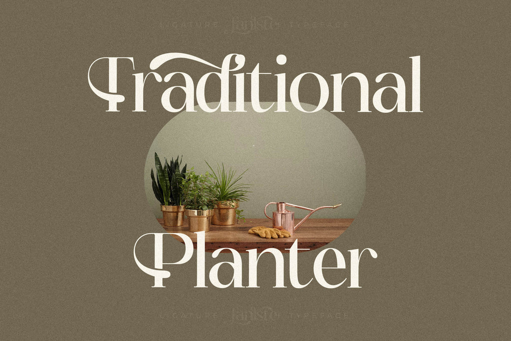 fanlste Typeface - So Fontsy