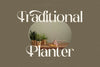 fanlste Typeface - So Fontsy