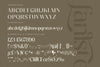 fanlste Typeface - So Fontsy