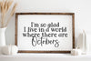 Farm Acres - Handwritten Serif Font - So Fontsy