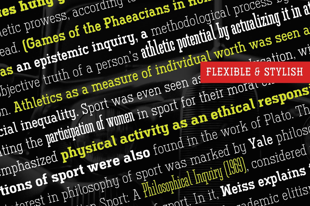 Ferguson Slab Font Family - So Fontsy