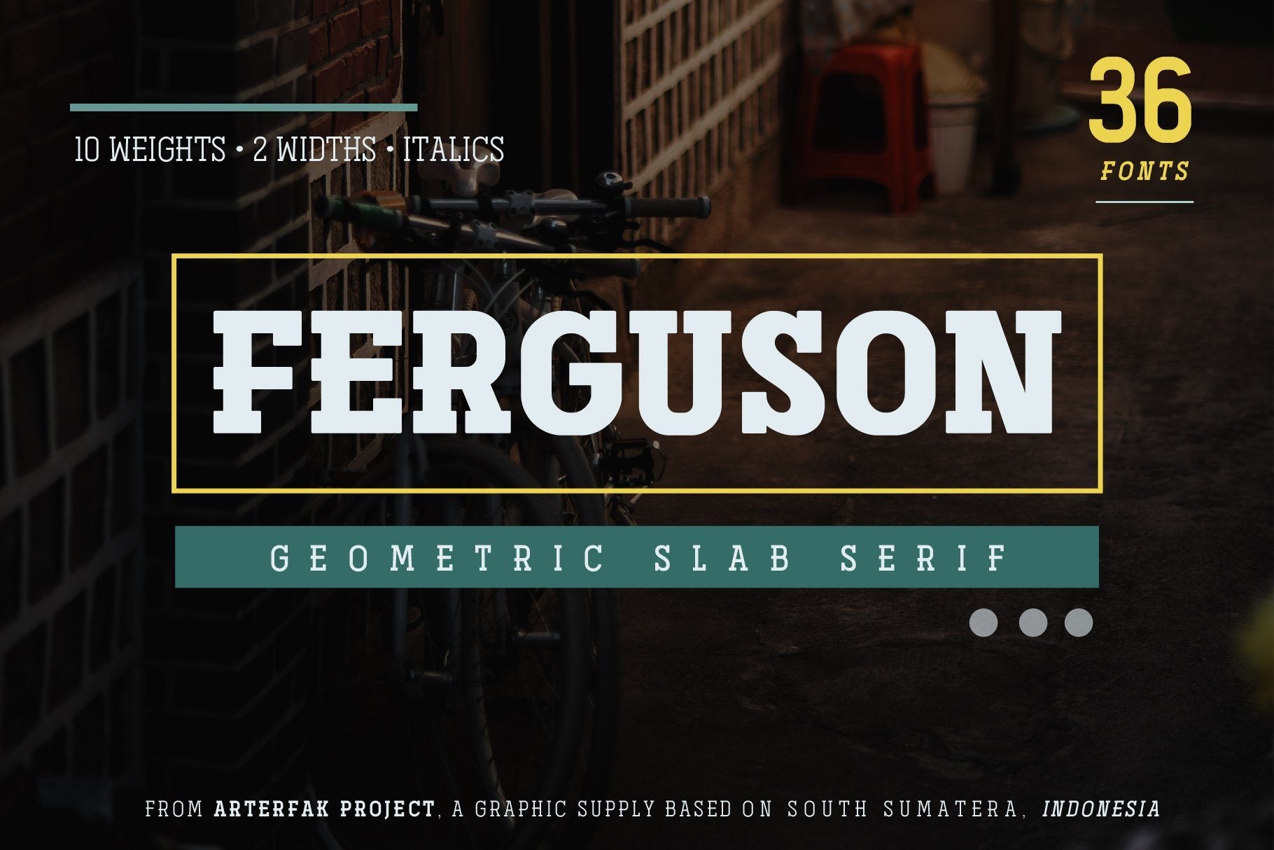 Ferguson Slab Font Family - So Fontsy