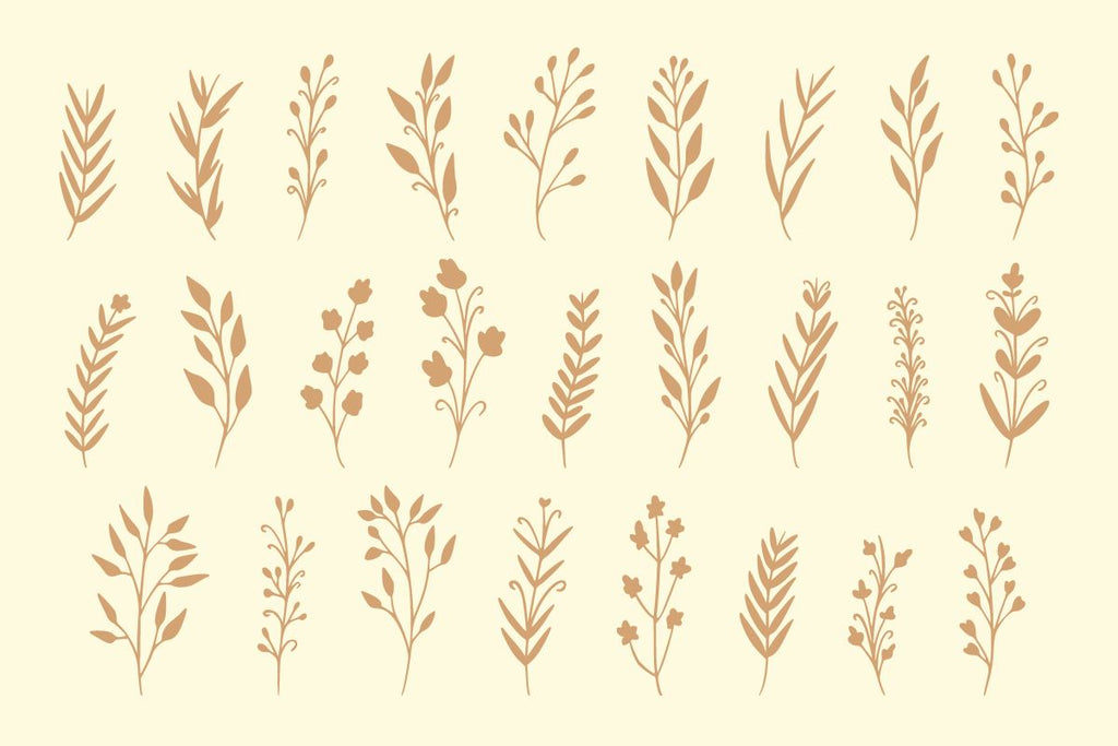 Floresta - Botanical Dingbat Font - So Fontsy