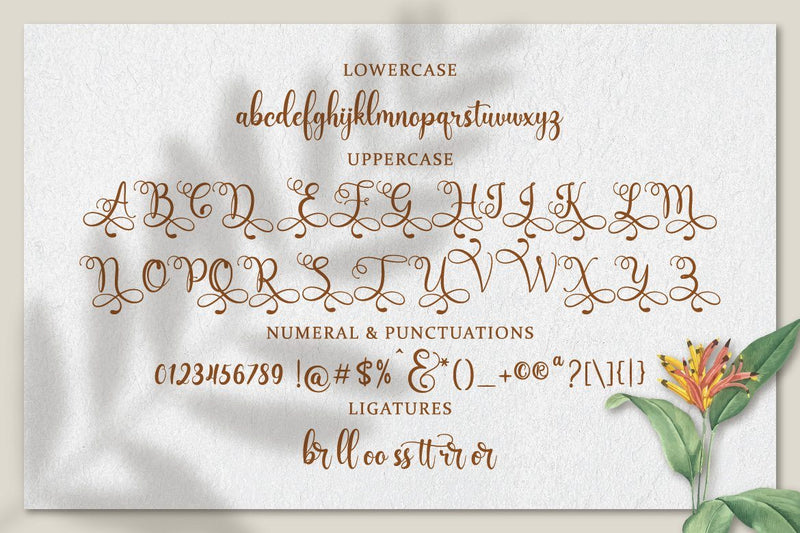 Floristya Script - So Fontsy
