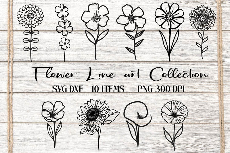 Flower Line Art Clipart. Flowers SVG. Flowers SVG Bundle. - So Fontsy