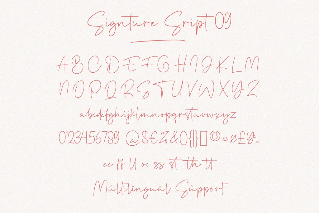Font Bundle - Signature Script Family | So Fontsy