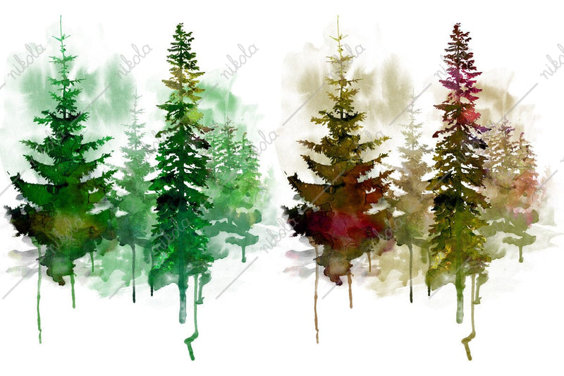Forest Watercolor Pine Tree Sublimation Clipart PNG - So Fontsy