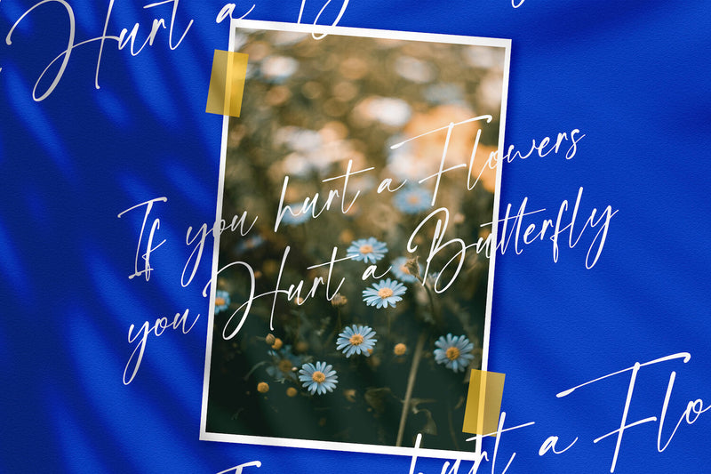 Franky Rain - Signature Script Font - So Fontsy