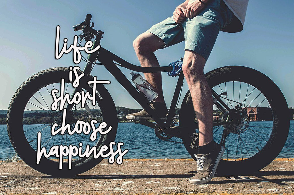 Freedom Script - So Fontsy