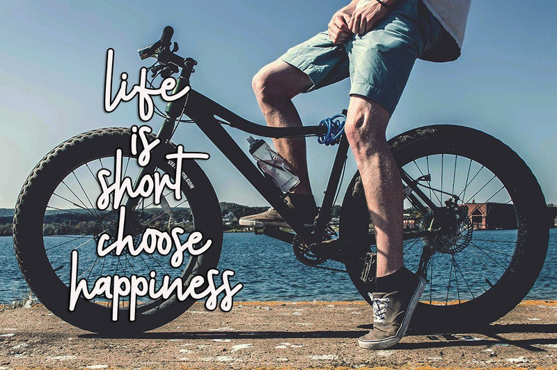 Freedom Script - So Fontsy