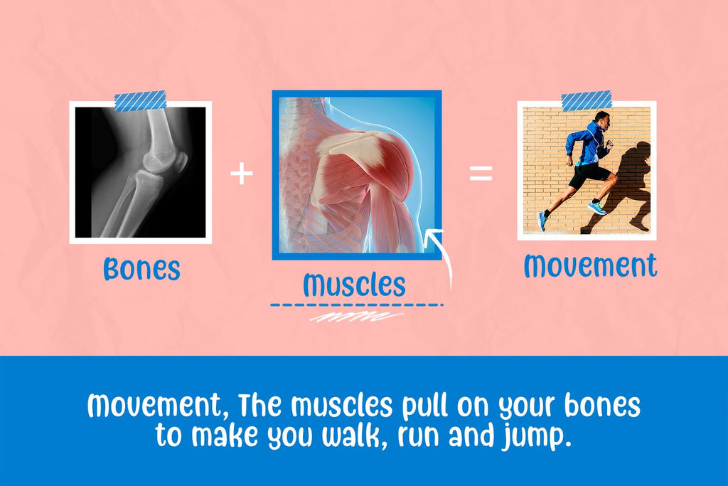 Freely Movable - a Handwritten Font - So Fontsy