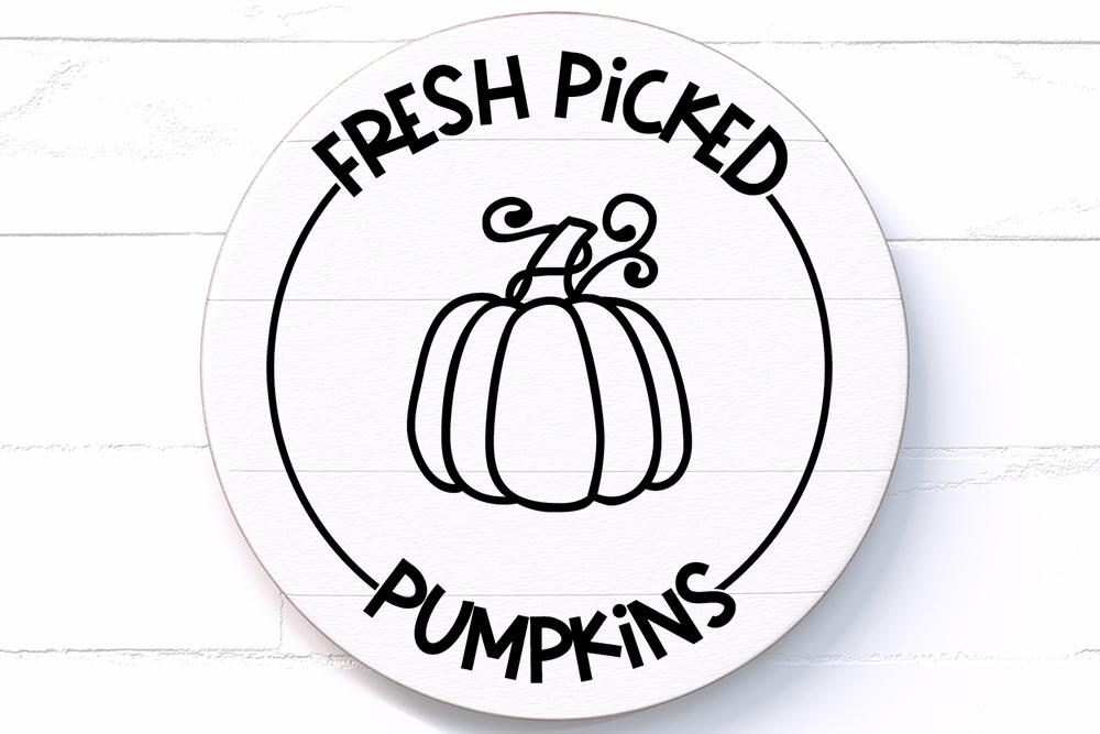 Fresh Picked Pumpkins SVG - So Fontsy