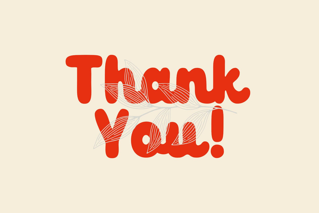 Friskily - Soft Bold Script Font - So Fontsy