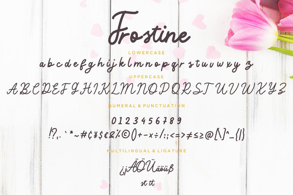 Frostine Curly Monoline Typeface - So Fontsy