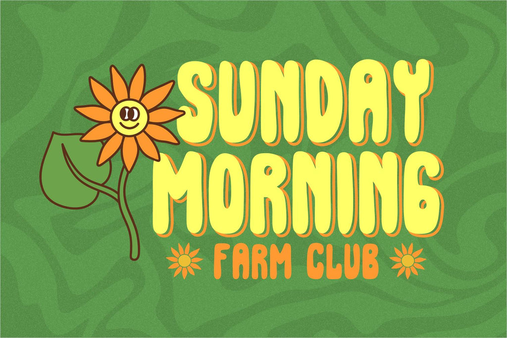 Funky Juice - So Fontsy