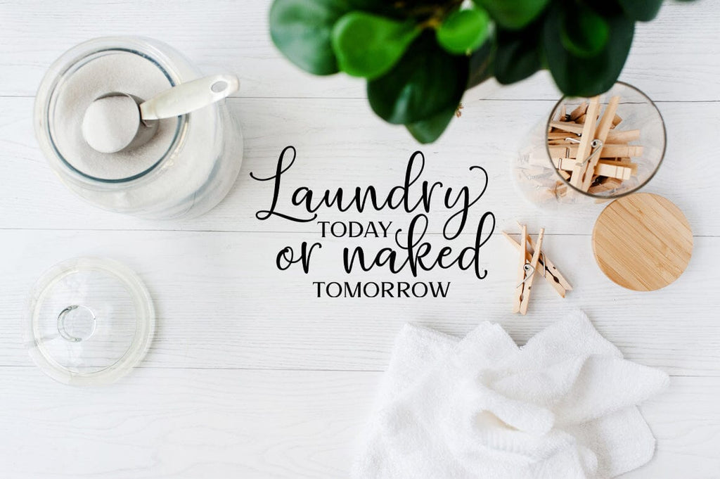 Funny Laundry Room Decor SVG - So Fontsy