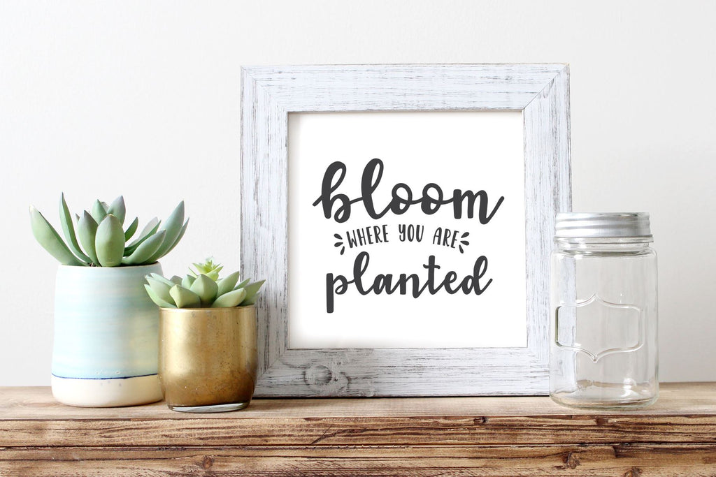 Garden Fancy Font Duo - So Fontsy