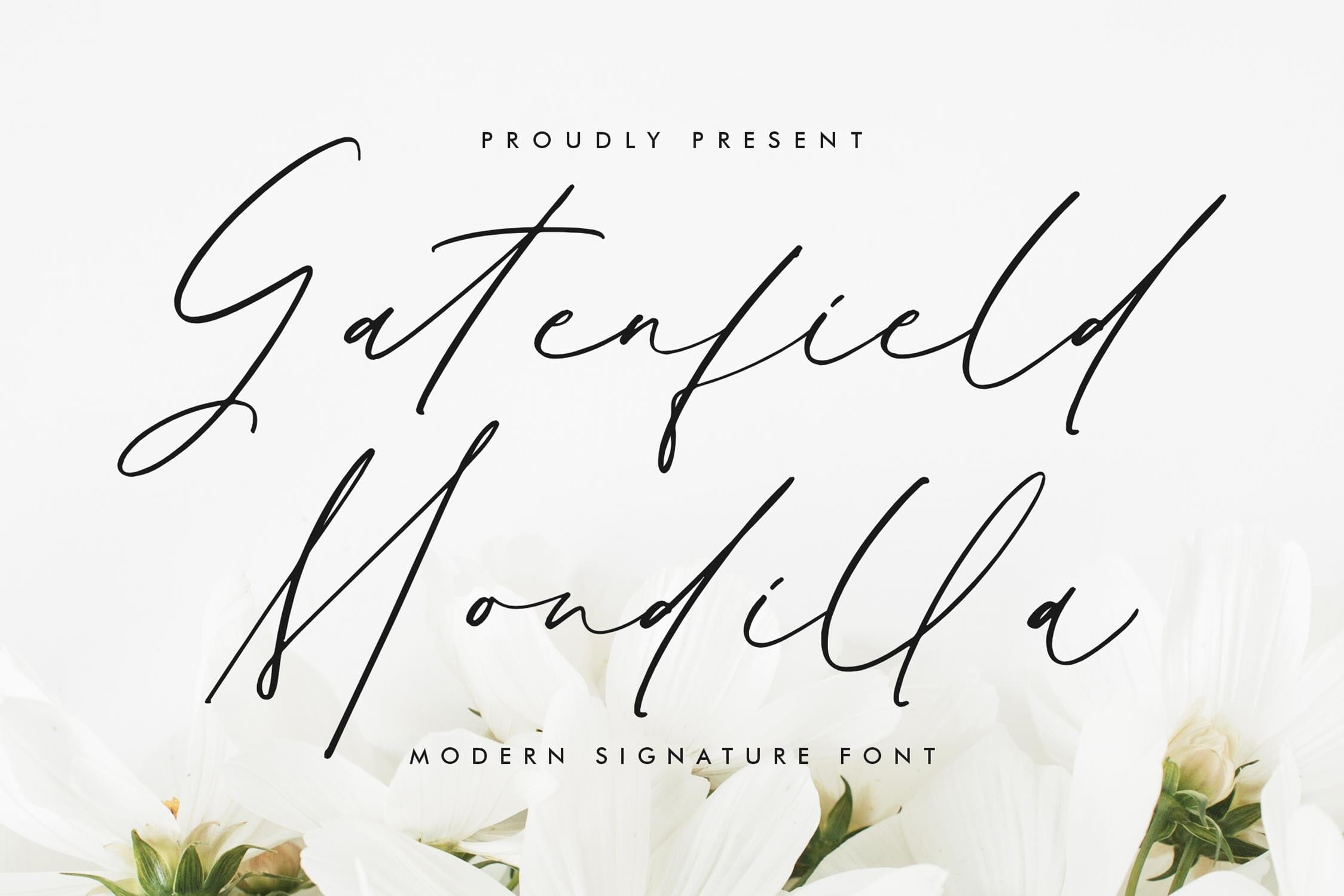 Gatenfield Mondilla - Modern Signature Font - So Fontsy