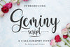 Geminy Calligraphy Font | So Fontsy