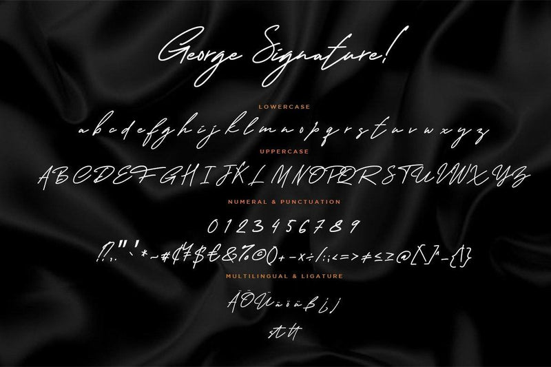 George Signature Classy Font - So Fontsy