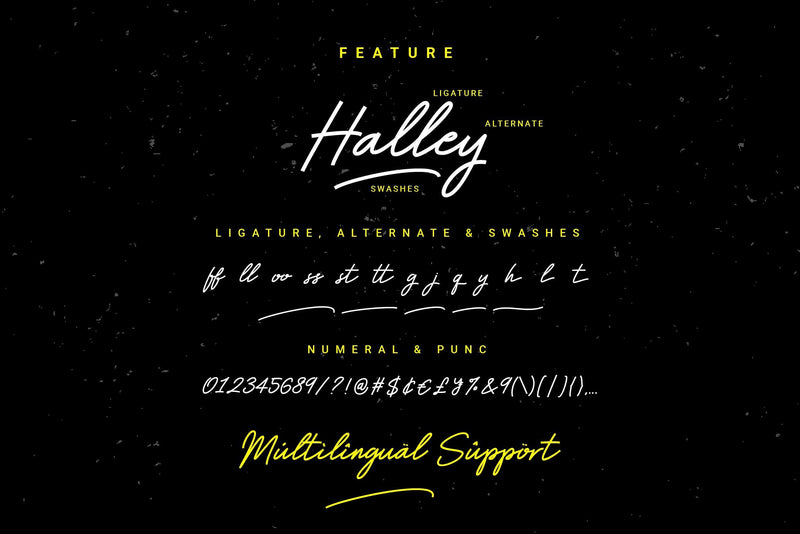 Gilbert Script Font | So Fontsy
