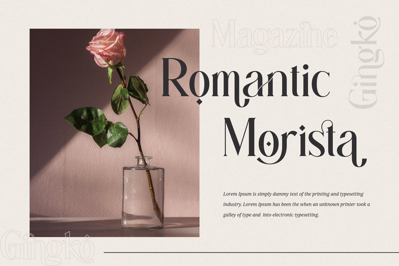 Gingko Ligature Typeface - So Fontsy