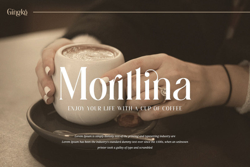 Gingko Ligature Typeface - So Fontsy