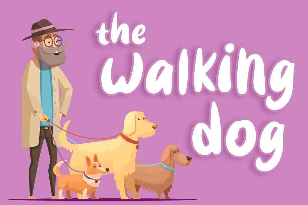 Good Boy - So Fontsy