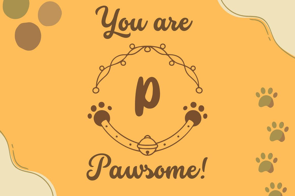 Good Boy Monogram - So Fontsy