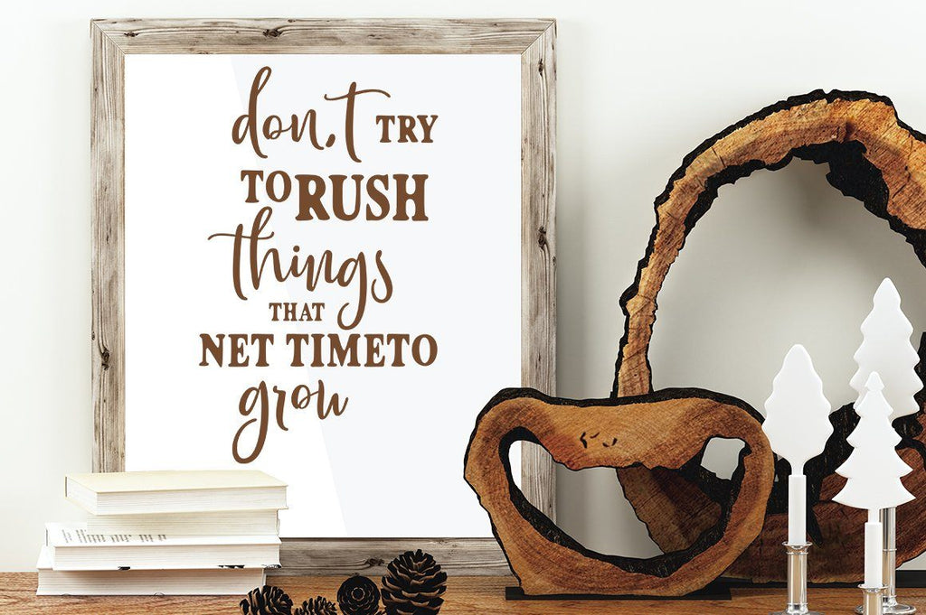 Gorgeous Script Font Trio - So Fontsy