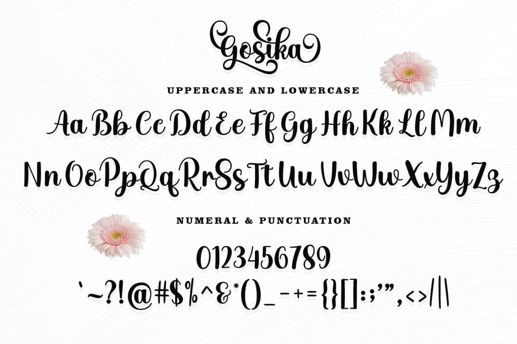 Gosika Script - So Fontsy