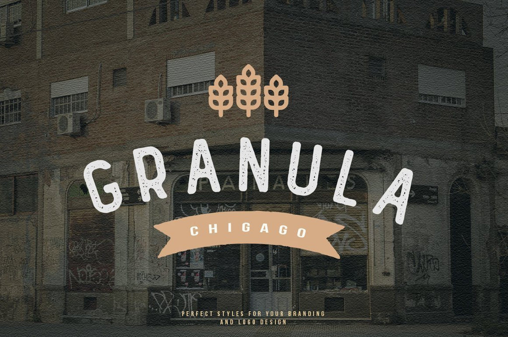 Grahm Vintage Rough Font - So Fontsy