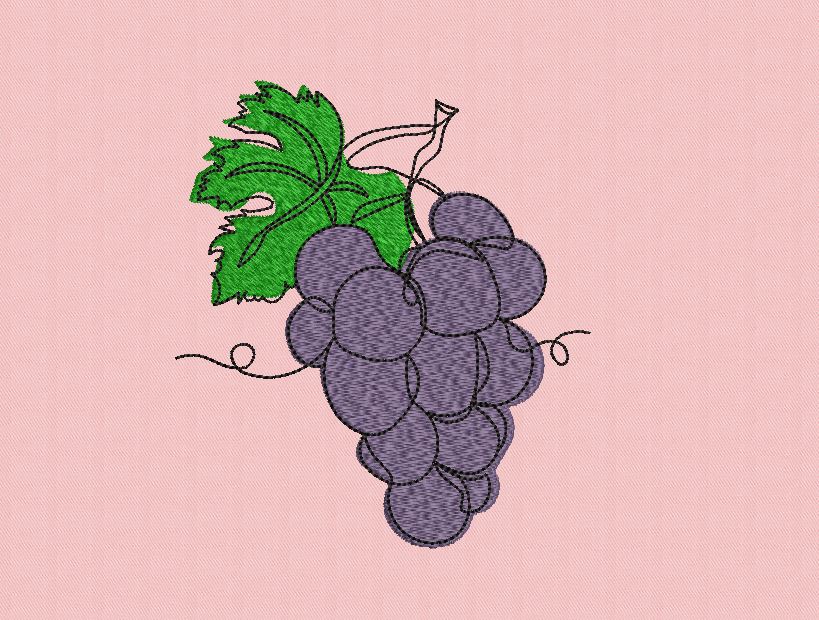 Grapes on Vine Embroidery Design - So Fontsy