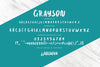 Grayson Fun Brush Typeface - So Fontsy