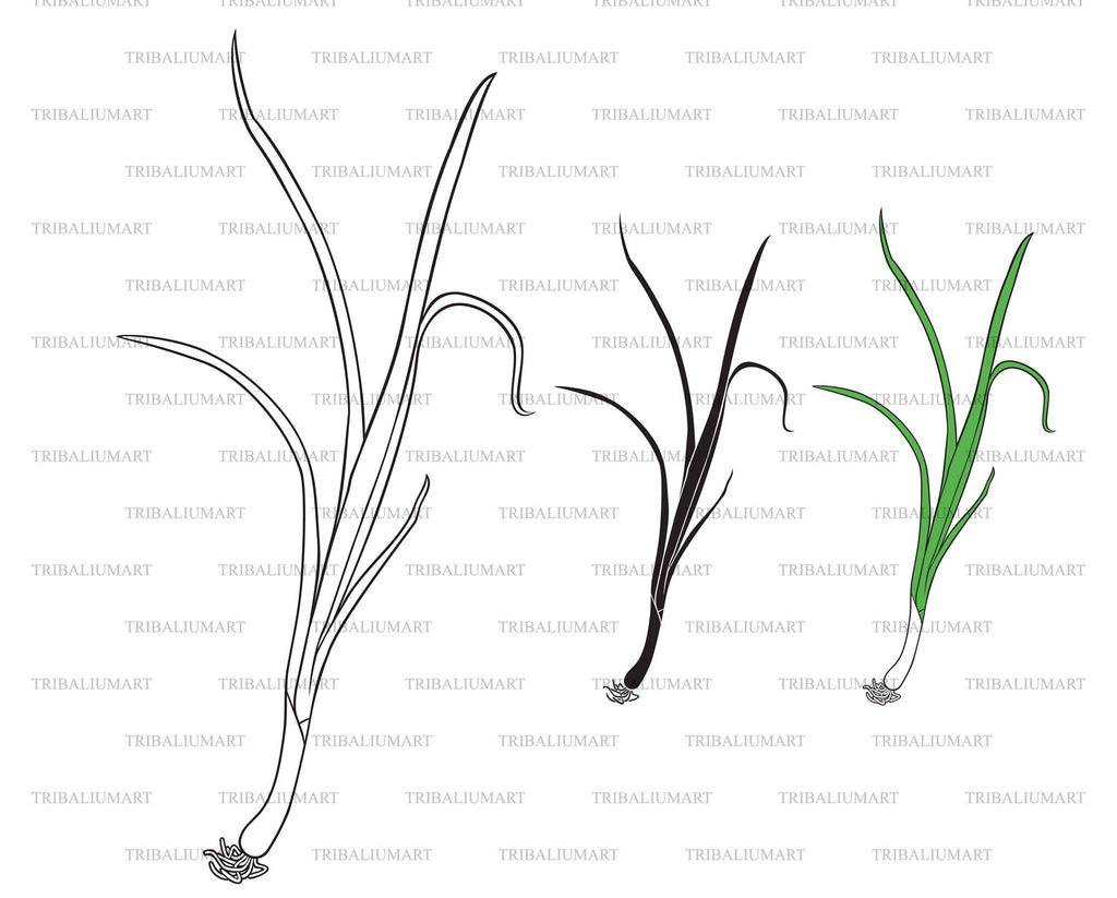 Green or spring onion (Scallions). Cut files for Cricut. Clip Art ...