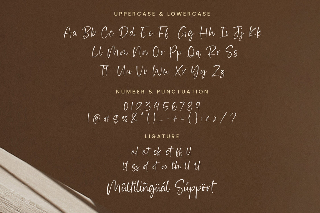 Haiden Smith - Stylish Script font - So Fontsy