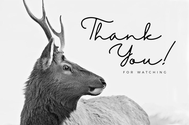 Halimun Script Style - So Fontsy