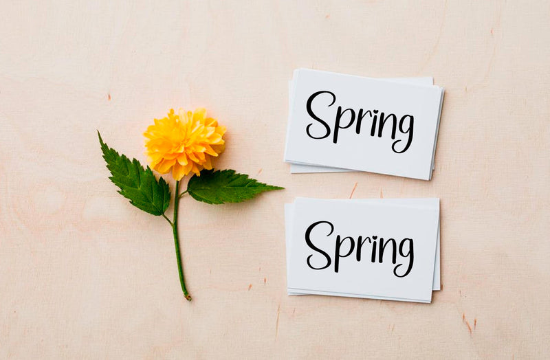 Hand Lettering - So Fontsy