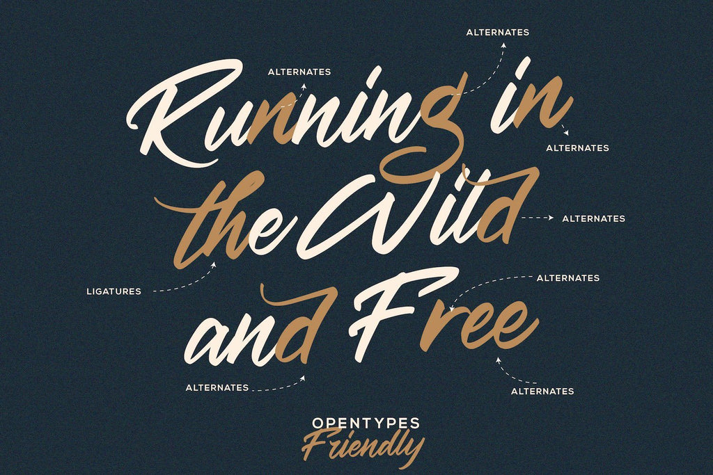 Haredang - Bold Script Font - So Fontsy