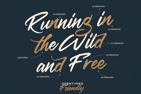 Haredang - Bold Script Font - So Fontsy