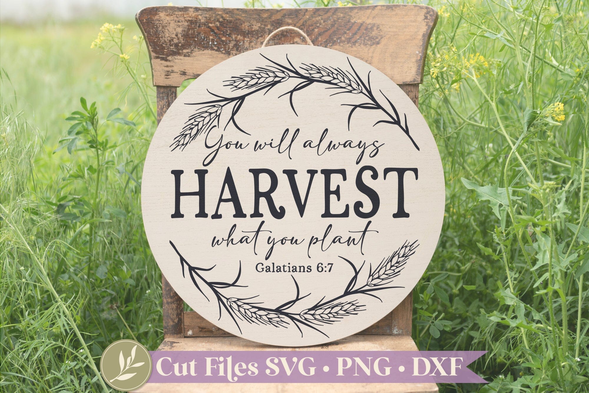 Harvest SVG, You Will Always Harvest What You Plant, Round Sign - So Fontsy