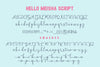 Hello Meisha a Modern Font Duo - So Fontsy