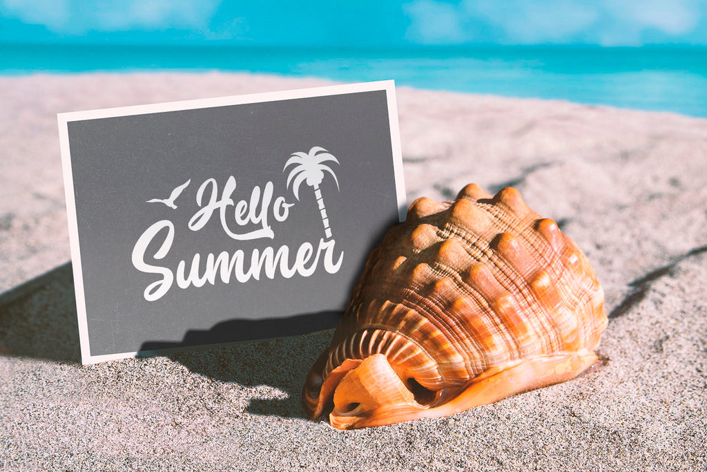 Hello Summer with Palm Tree - So Fontsy