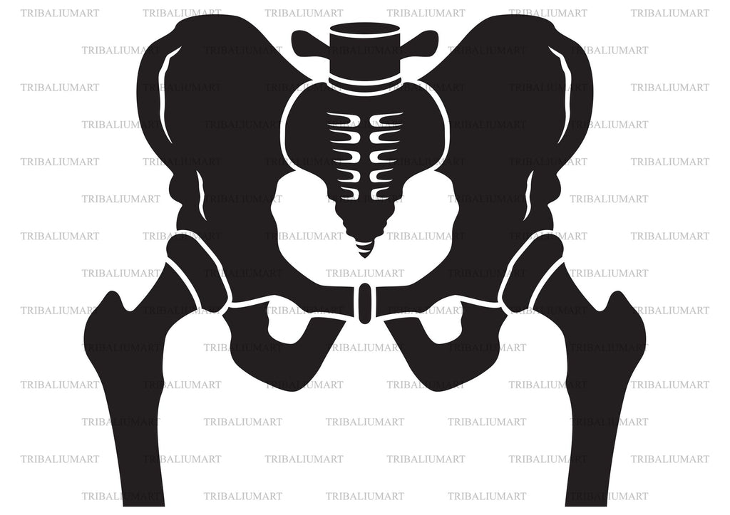 Hip bone. Cut files for Cricut (eps, svg, pdf, png, dxf, jpeg). - So Fontsy