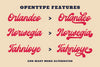 Hitterlove - Retro Bold Script - So Fontsy