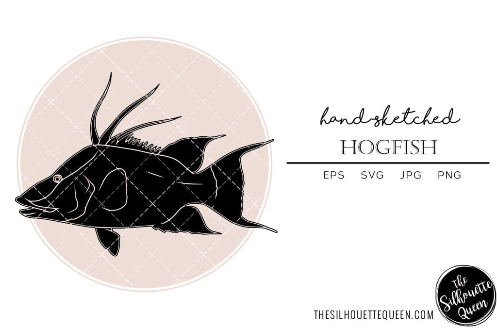 Hogfish Hand sketched, hand drawn vector clipart - So Fontsy