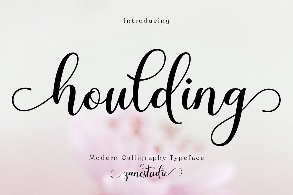 Houlding Script - So Fontsy