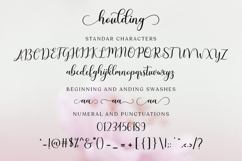 Houlding Script - So Fontsy