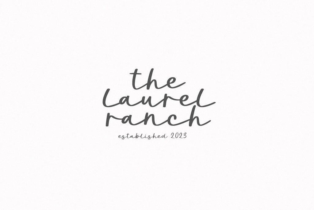 Howdy - Handwritten Script Font - So Fontsy